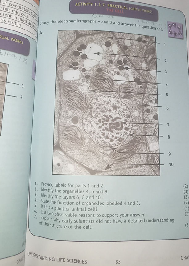 ACTIVITY 127 PRACTICAL (GROUP WORK) THE CELL | StudyX