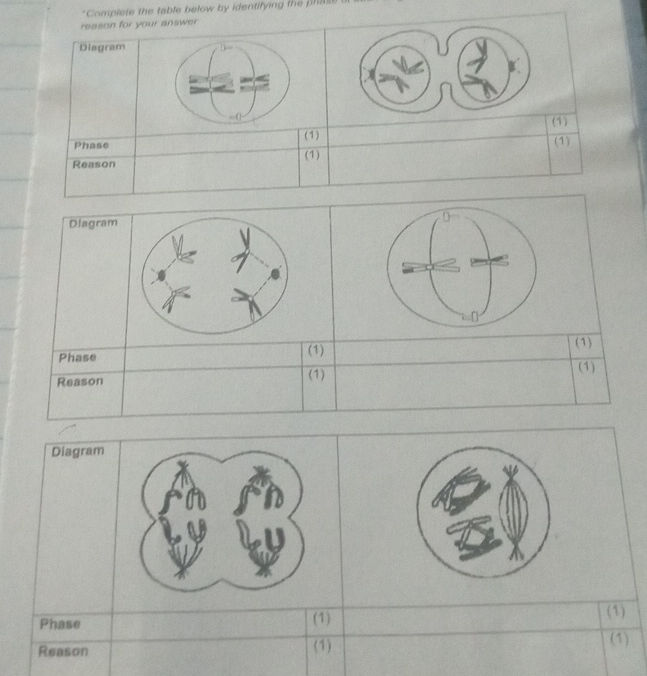 Complete the table below by identifying the | StudyX