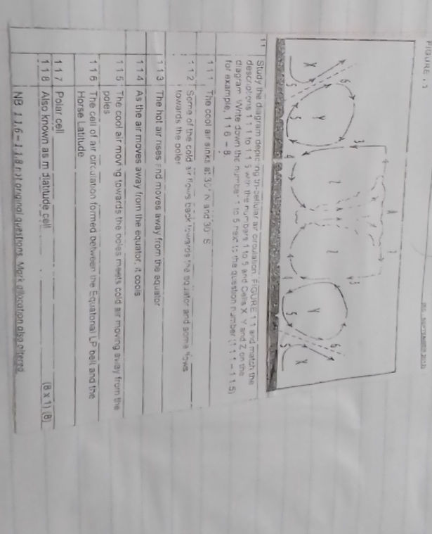 Study the diagram depicting tri-cellular air | StudyX