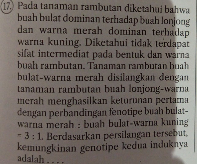 17 Pada tanaman rambutan diketahui bahwa | StudyX