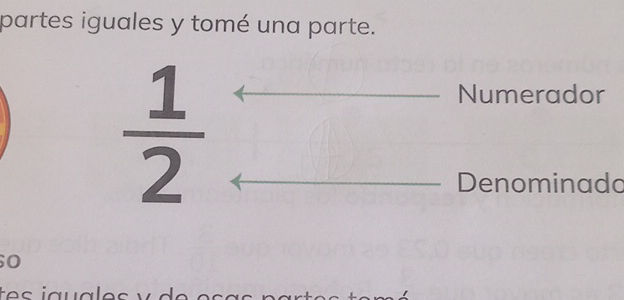 partes iguales y tom una parte 1 2 Numerador | StudyX