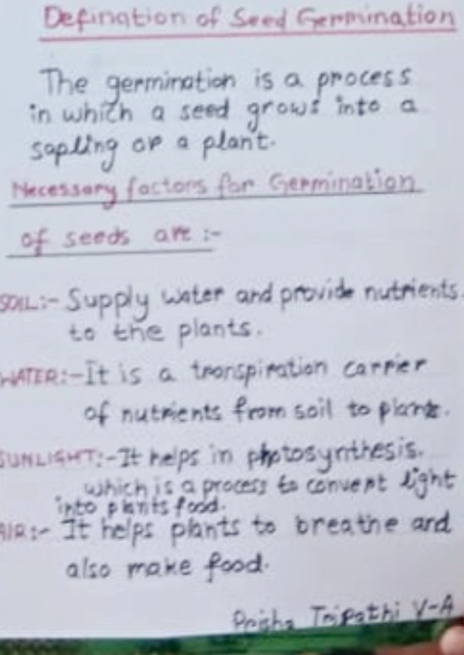 Defination of Seed Germination The | StudyX