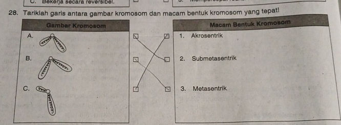 28 Tariklah garis antara gambar kromosom dan | StudyX
