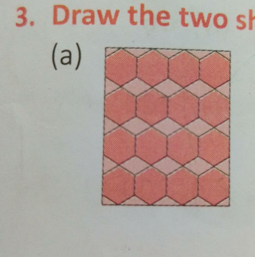 Draw the two shapes | StudyX