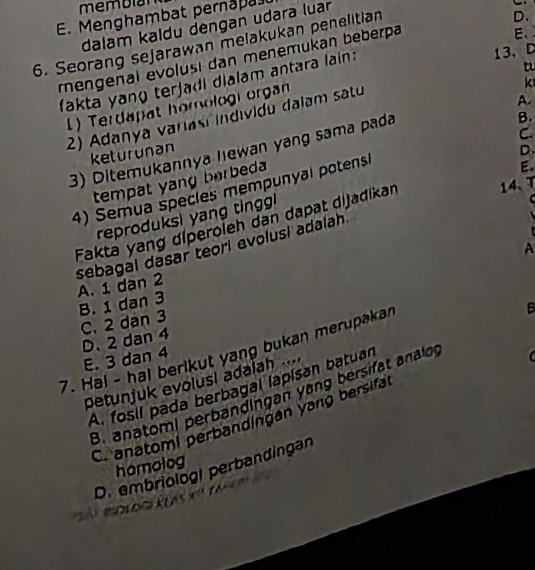 6 Seorang sejarawan melakukan penelitian | StudyX