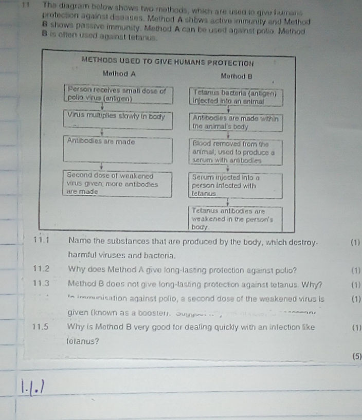 11 The diagram below shows two methods which | StudyX