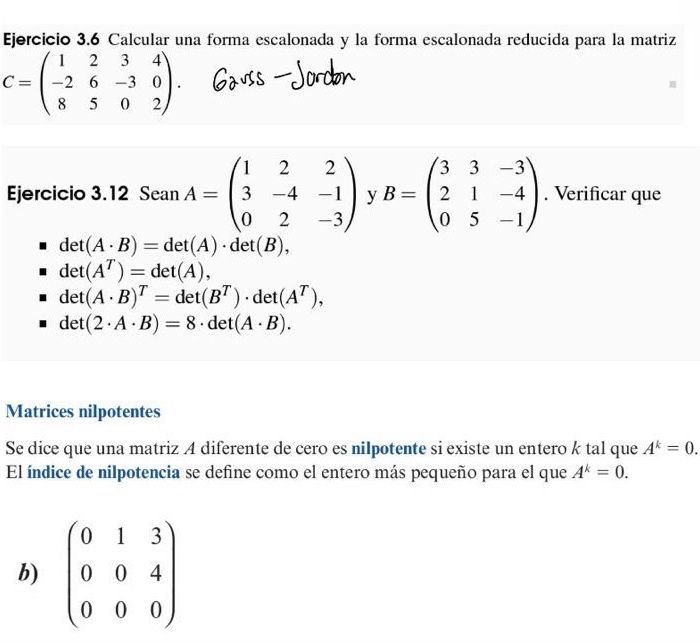 Ejercicio 36 Calcular una forma escalonada y | StudyX