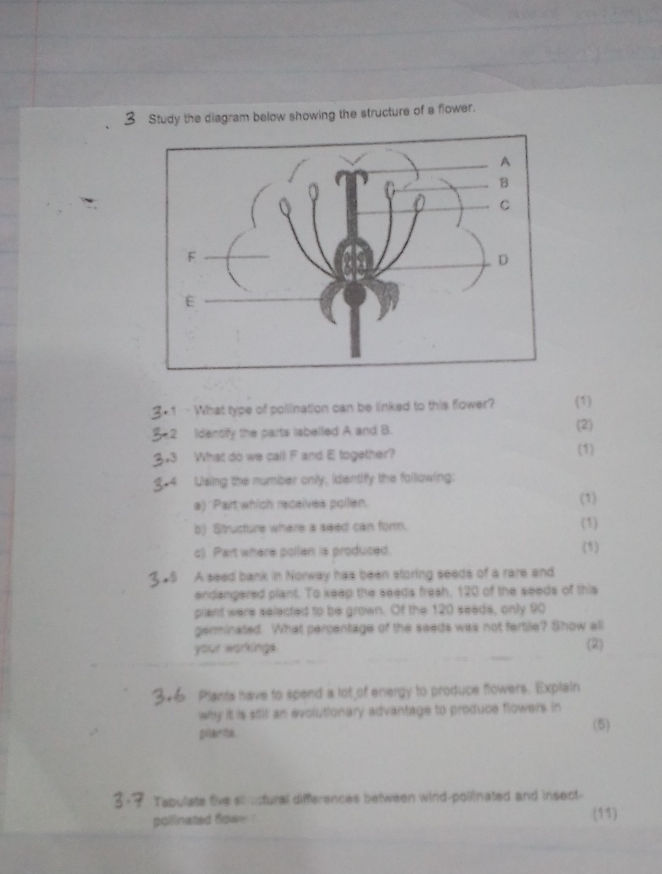 3 Study the diagram below showing the | StudyX