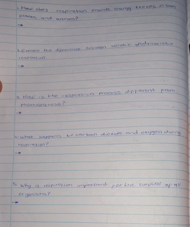1 How does respiration provide energy to