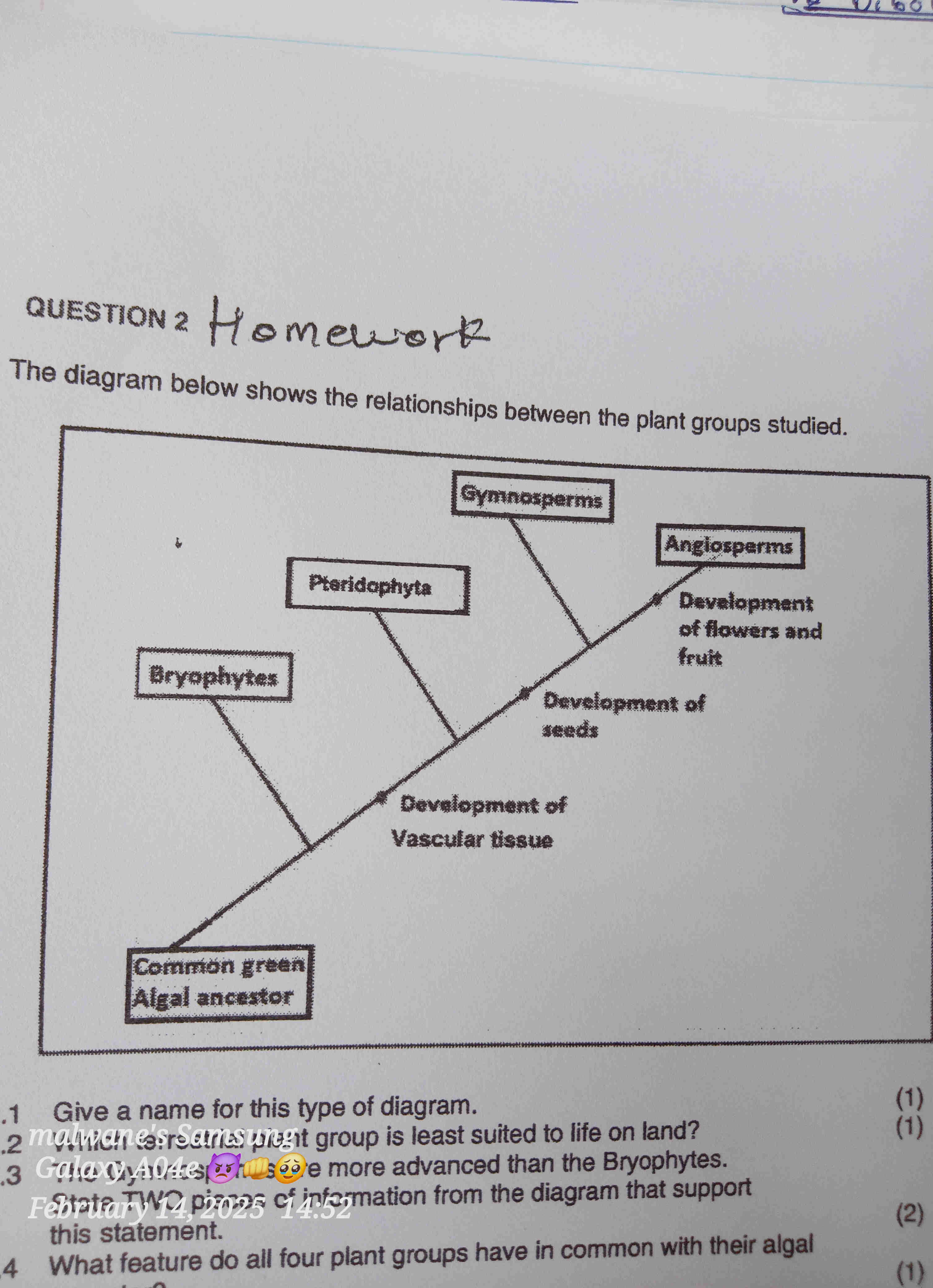 1 Give a name for this type of diagram 2 | StudyX