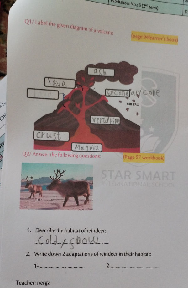 Q1/Label the given diagram of a volcano | StudyX