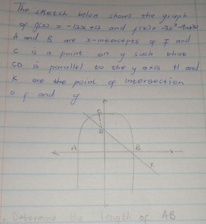 The sketch below shows the graph of $g(x) = | StudyX