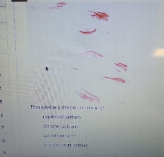 These swipe patterns are a type of expirated | StudyX