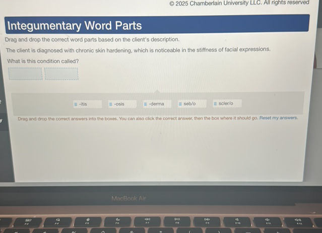 Integumentary Word Parts Drag and drop the