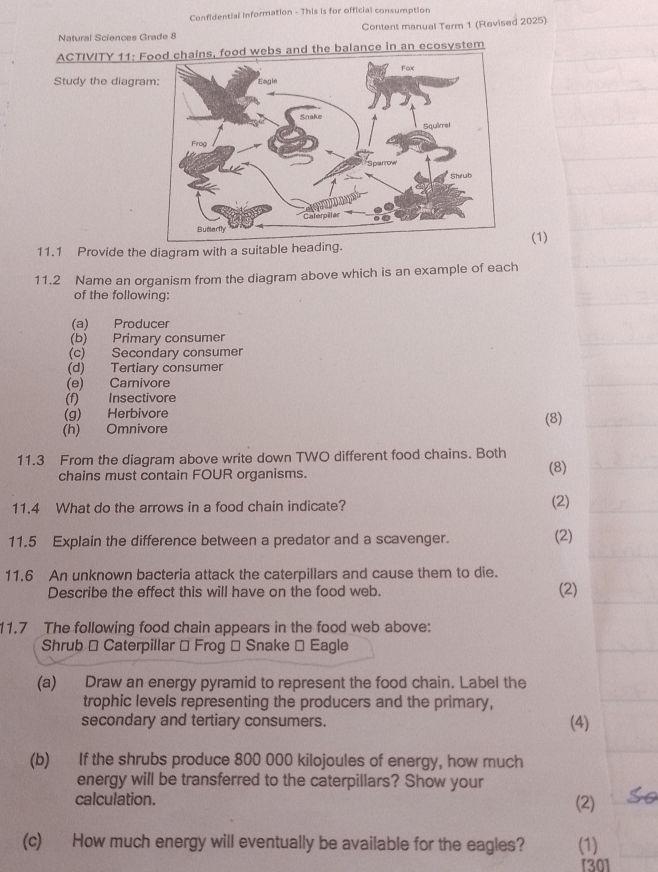 ## ACTIVITY 11: Food chains, food webs and | StudyX