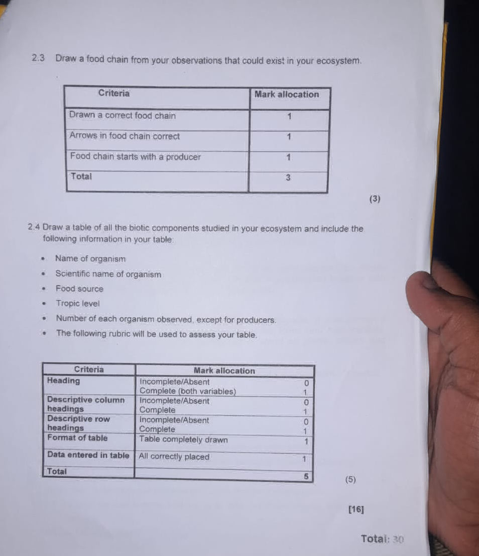 23 Draw a food chain from your observations | StudyX