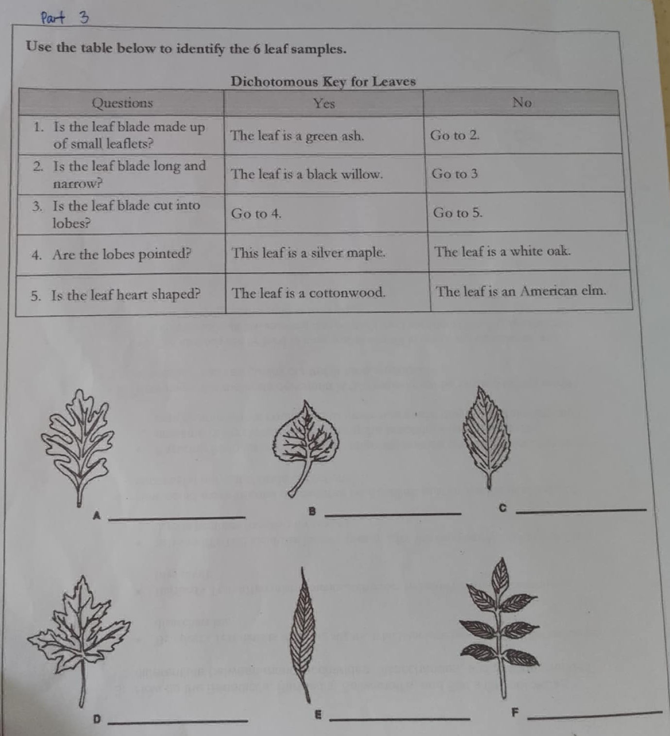 Use the table below to identify the 6 leaf | StudyX