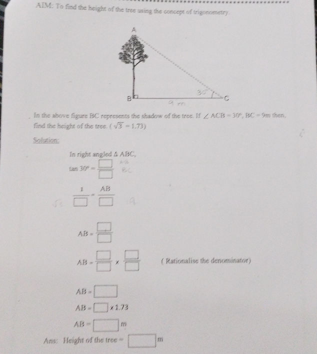 AIM To find the height of the tree using the | StudyX
