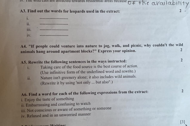 A3 Find out the words for leopards used in | StudyX