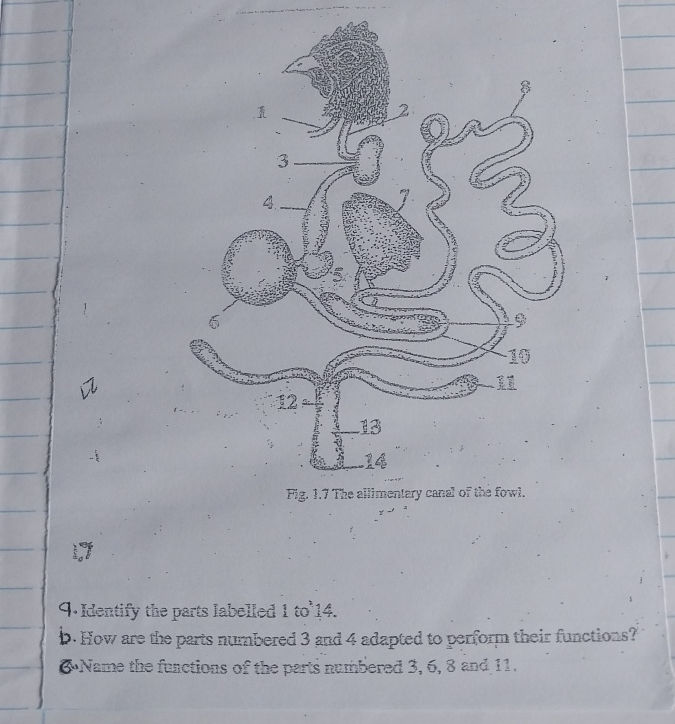 4. Identify the parts labelled 1 to 14. b. | StudyX
