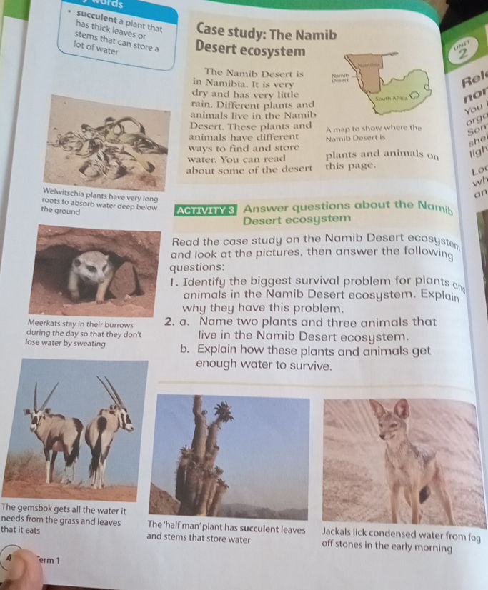 ACTIVITY 3 Answer questions about the Namib | StudyX