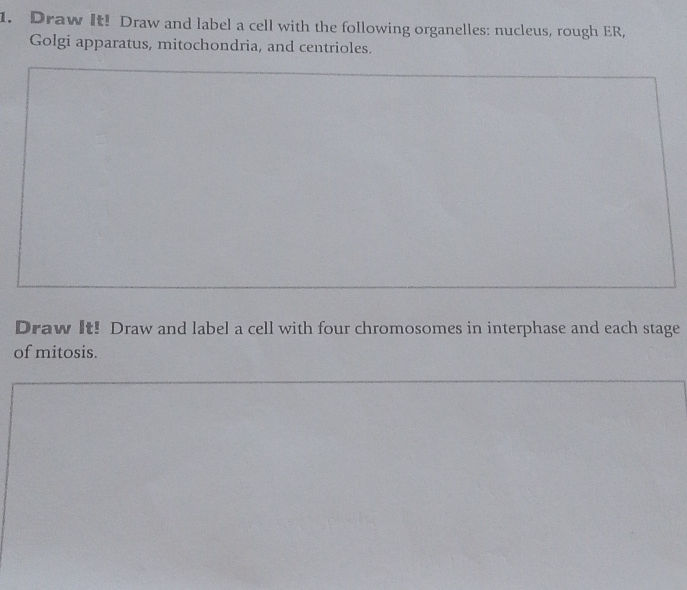 1 Draw It Draw and label a cell with the | StudyX