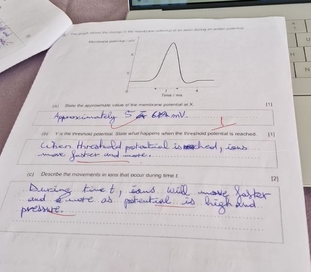 The graph shows the change in the membrane | StudyX