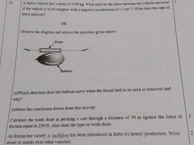 Observe the diagram and answer the questions | StudyX
