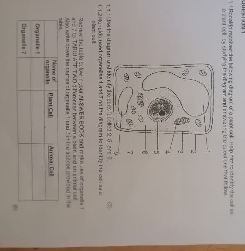 1.1 Ronaldo received the following diagram | StudyX