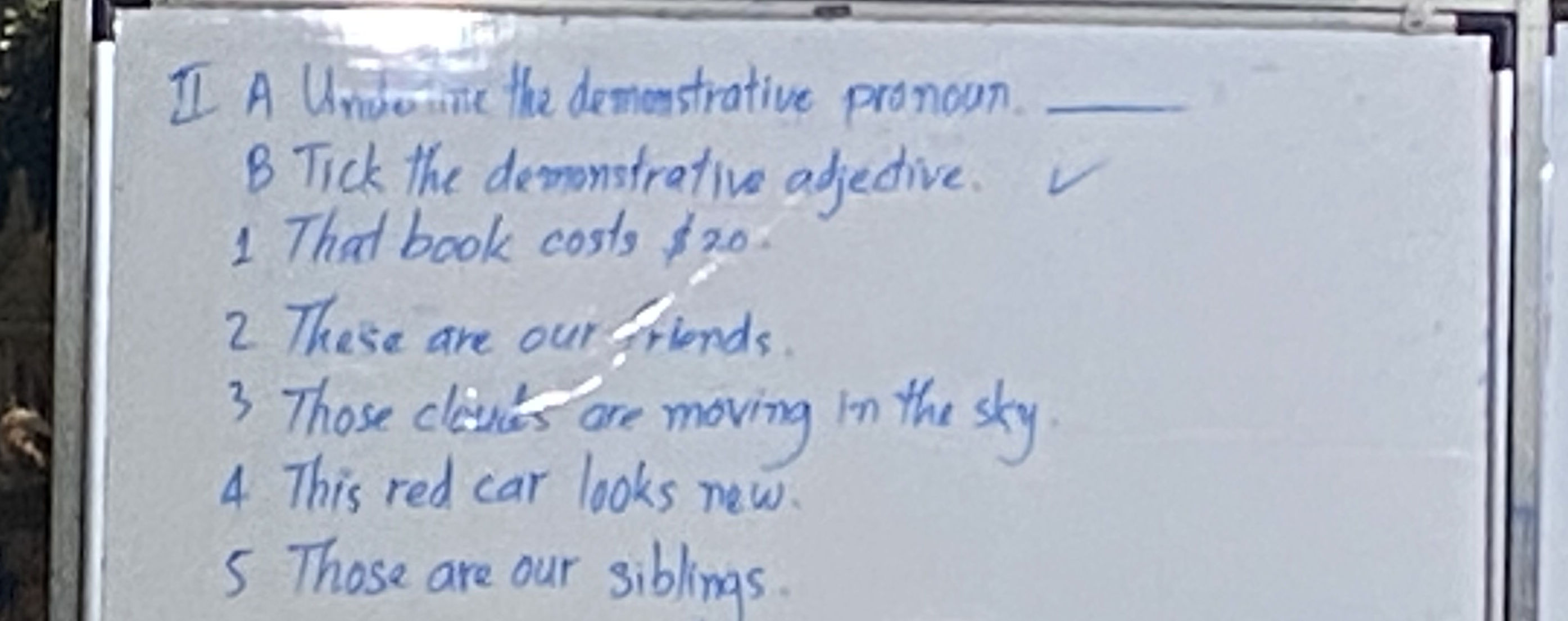 II A Underline the demonstrative pronoun. | StudyX