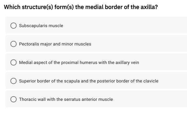 Which structure(s) form(s) the medial border | StudyX