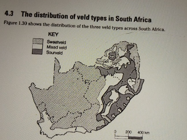 43 The distribution of veld types in South | StudyX