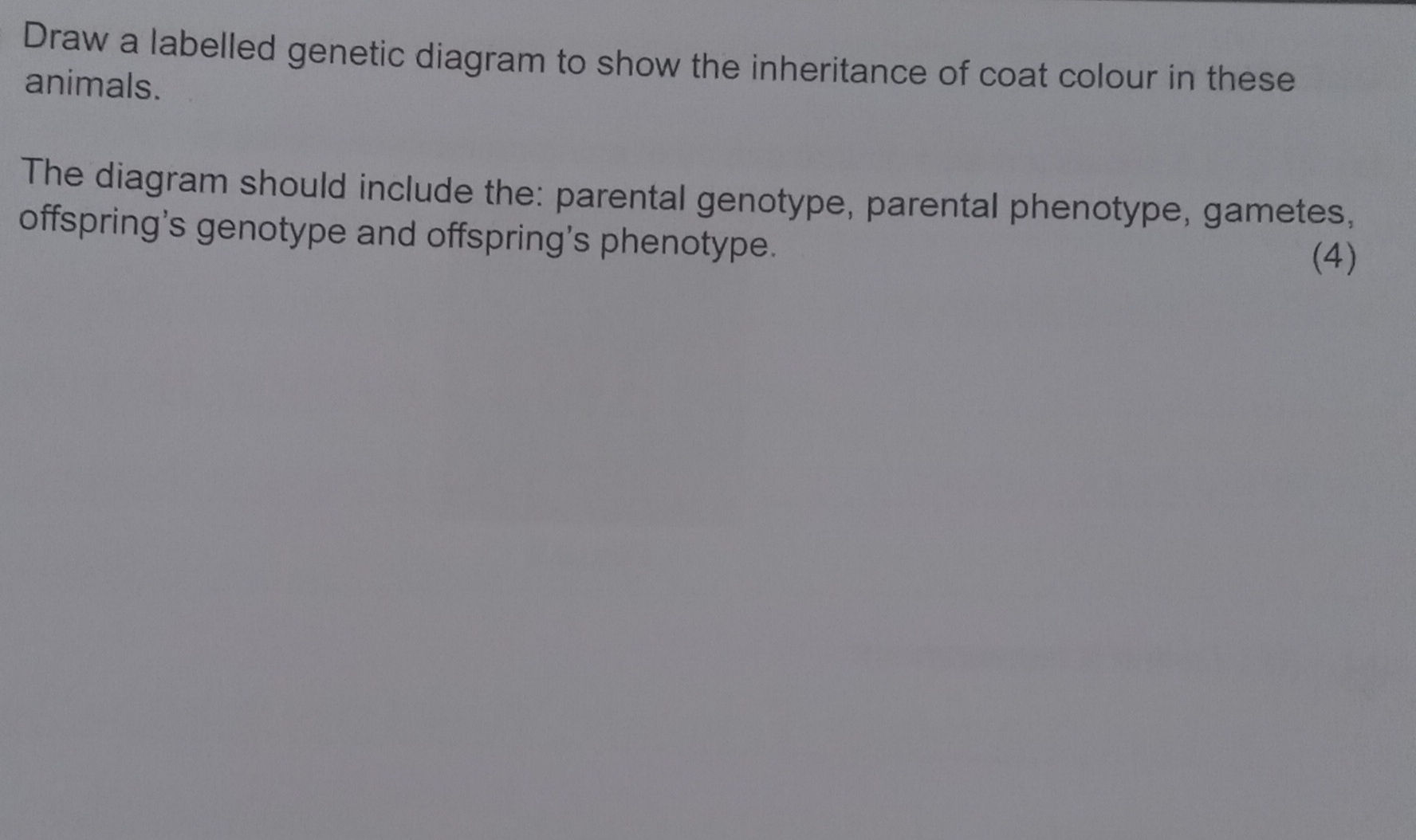 Draw a labelled genetic diagram to show the | StudyX