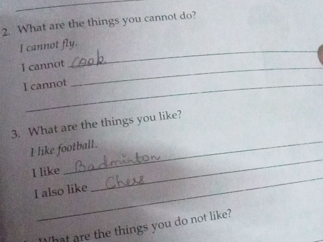 2 What are the things you cannot do I cannot | StudyX