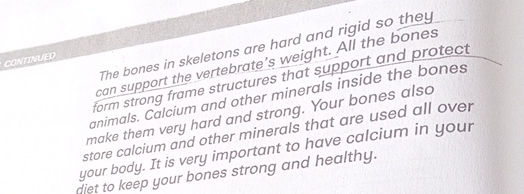 The bones in skeletons are hard and rigid so | StudyX