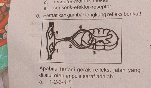 10 Perhatikan gambar lengkung refleks | StudyX