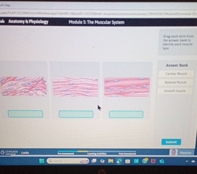 Drag each term from the answer bank to