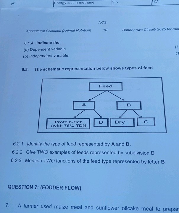 6.2. The schematic representation below | StudyX