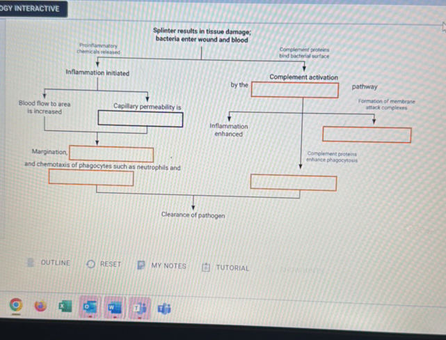 Splinter results in tissue damage bacteria | StudyX