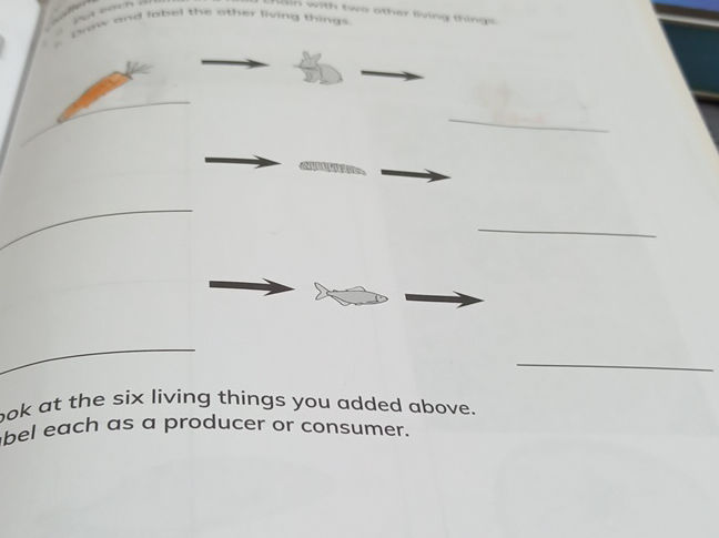 Draw and label the other living things Look | StudyX