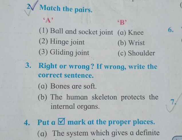 Match the pairs A (1) Ball and socket joint | StudyX