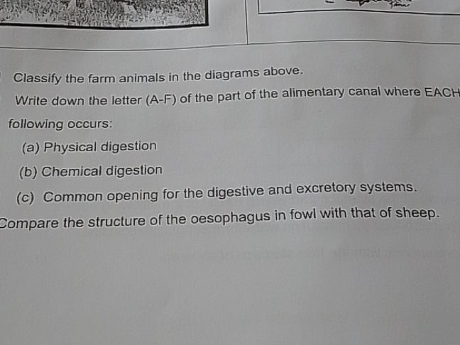 Classify the farm animals in the diagrams | StudyX
