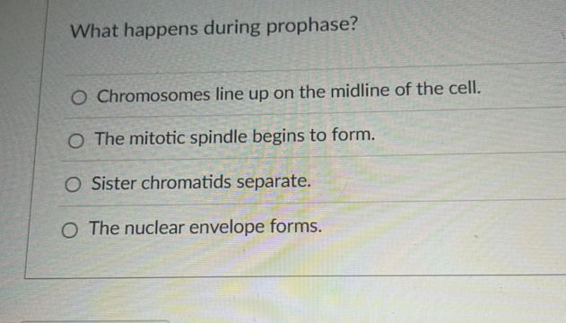 What happens during prophase Chromosomes | StudyX