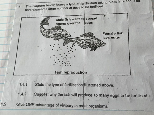 141 State the type of fertilisation | StudyX
