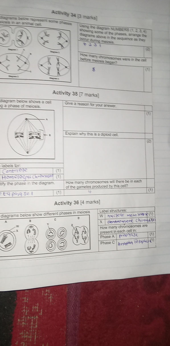 Activity 34 (3 marks Using the diagram | StudyX