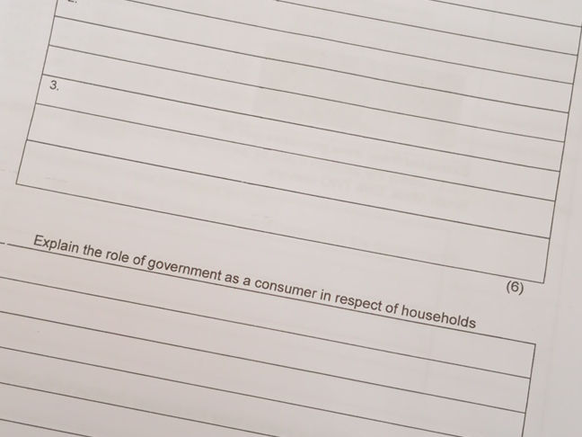 Explain the role of government as a consumer