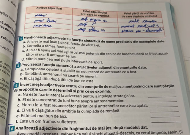 3 Menioneaz adjectivele cu funcia sintactic | StudyX