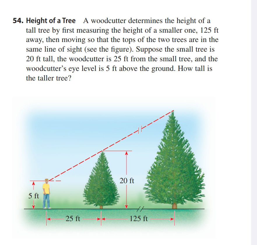 54 Height of a Tree A woodcutter determines