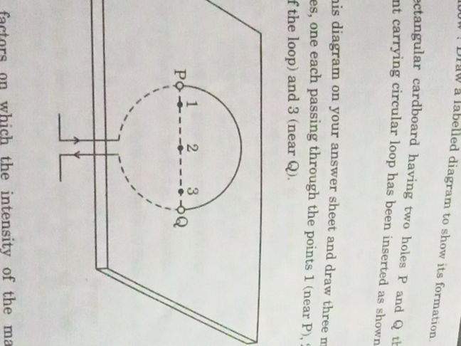 Draw a labelled diagram to show its | StudyX
