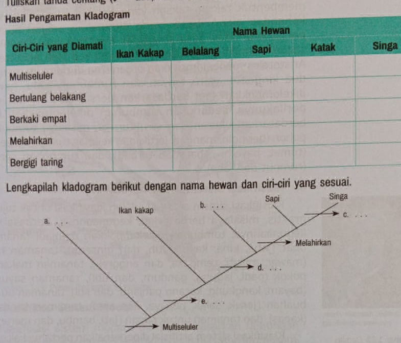 Hasil Pengamatan Kladogram Ciri-Ciri yang | StudyX